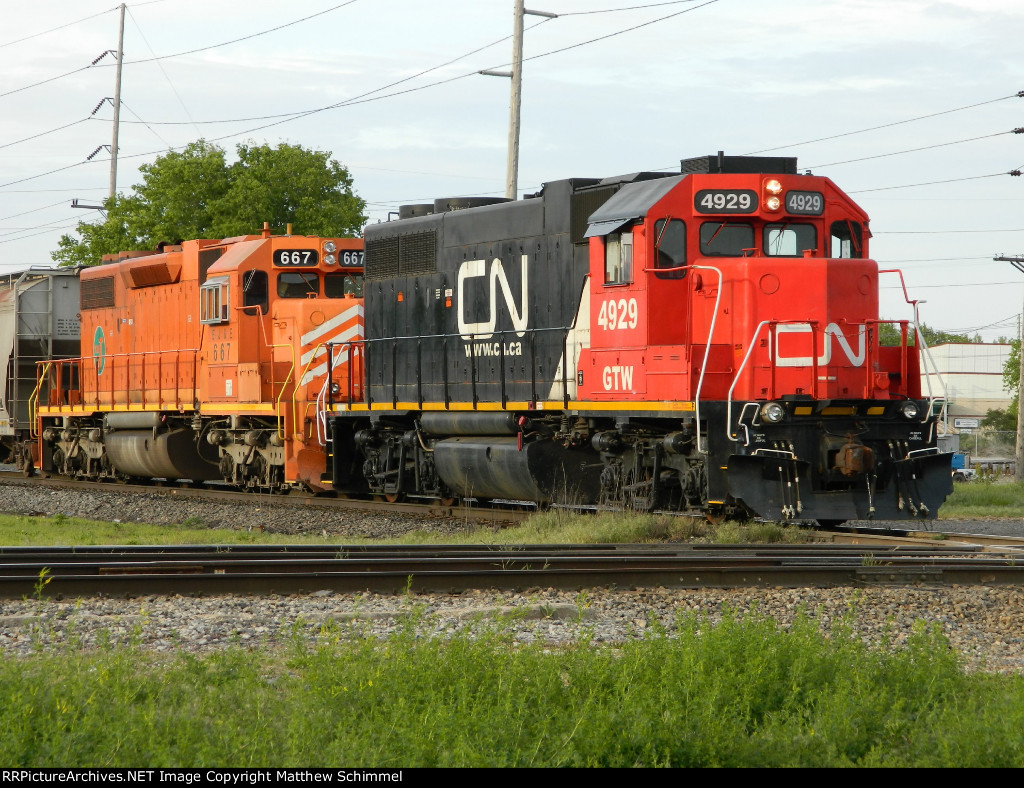 Look What Creeped Out Of The Yard